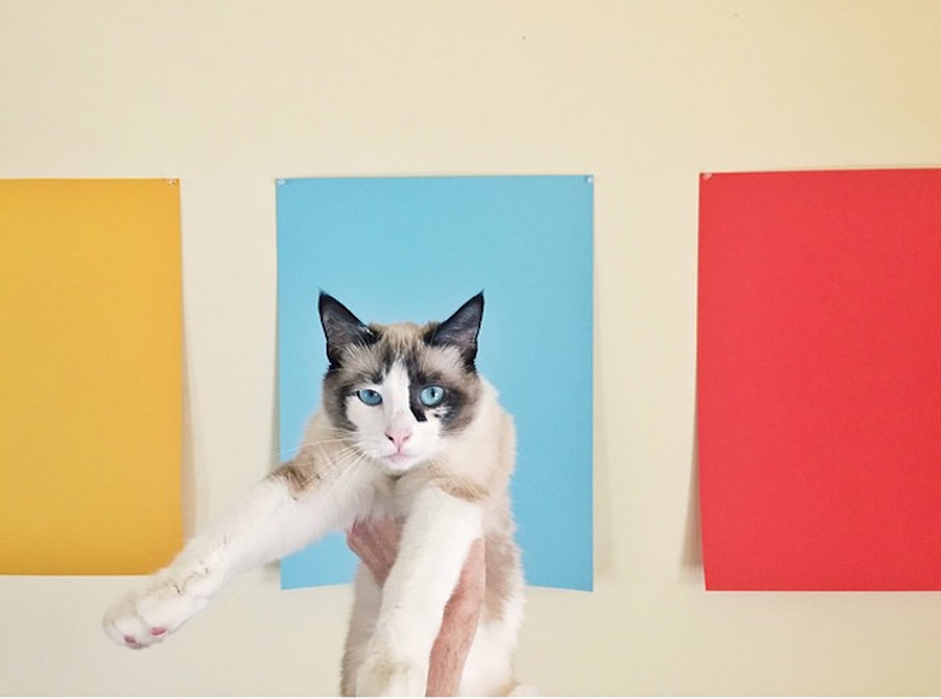 Color Photography Inspiration | Jimmy Marble | PS Tech