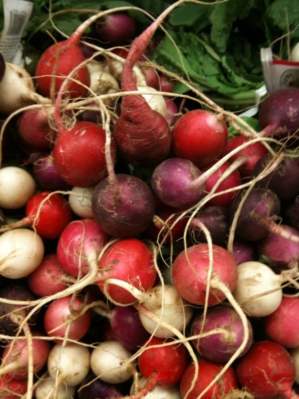 The colors of radishes