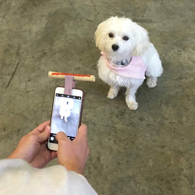 How to Take Selfies With Your Dog | PS Family