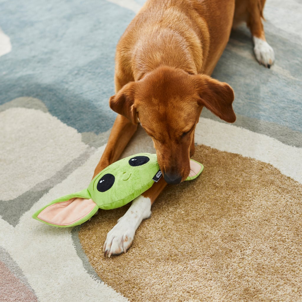 Chewy Disney, Pixar, Marvel, Star Wars Pet Products | POPSUGAR Pets