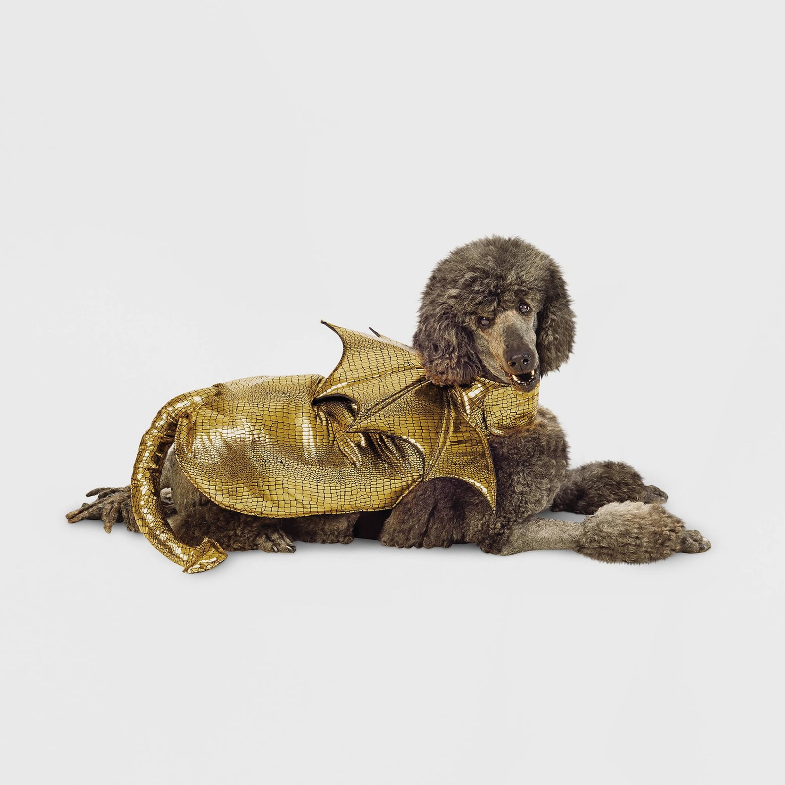 Best Dog Halloween Costumes at Target 2022 | PS Pets