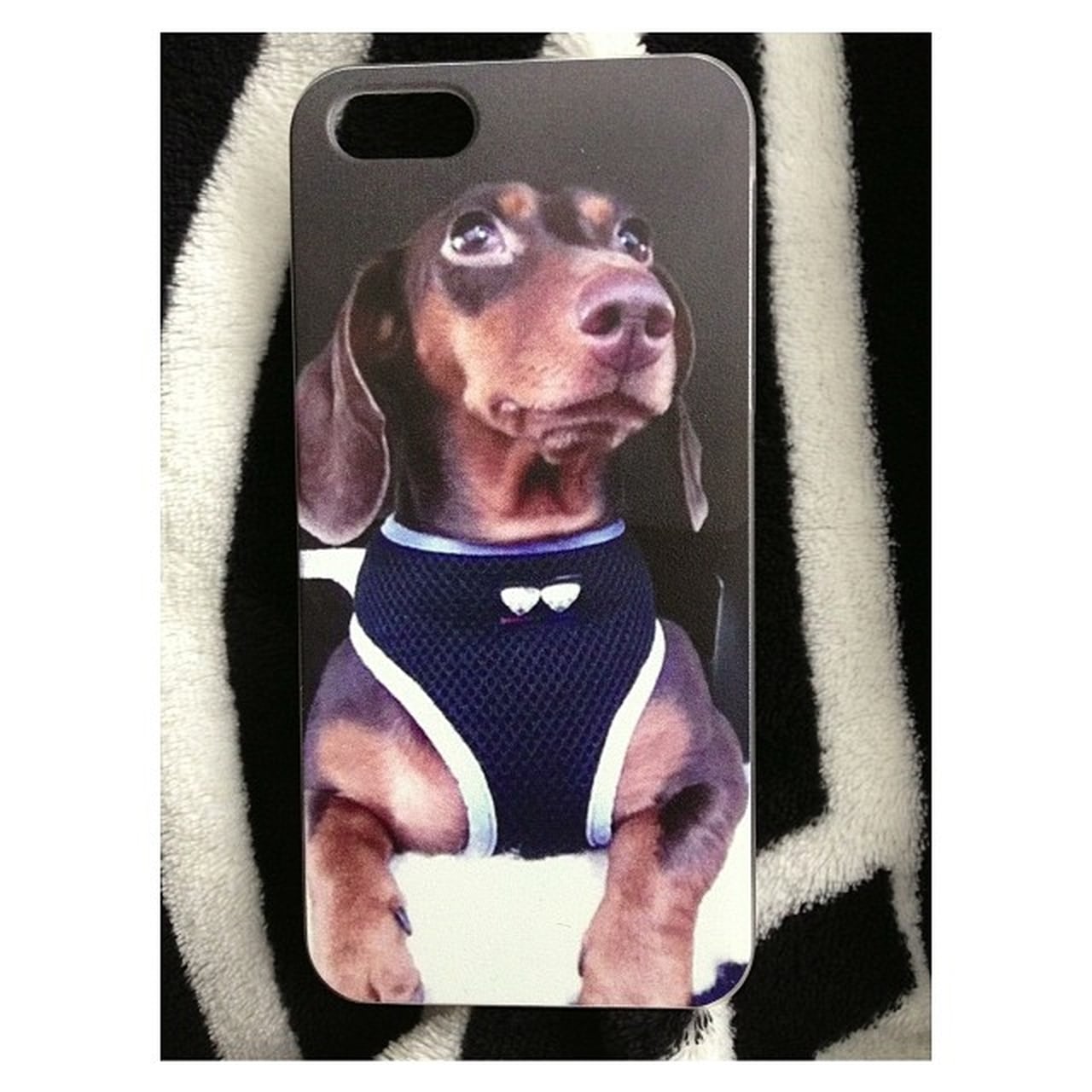 DIY iPhone Case | PS Tech