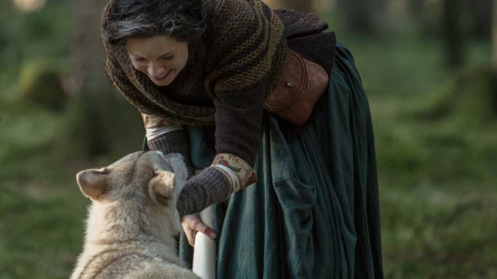 What Breed of Dog Is Rollo on Outlander? | POPSUGAR Entertainment