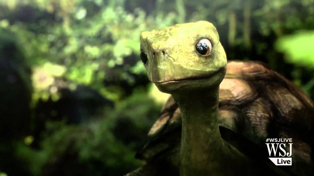 Super Bowl Commercials 2015 | POPSUGAR Entertainment