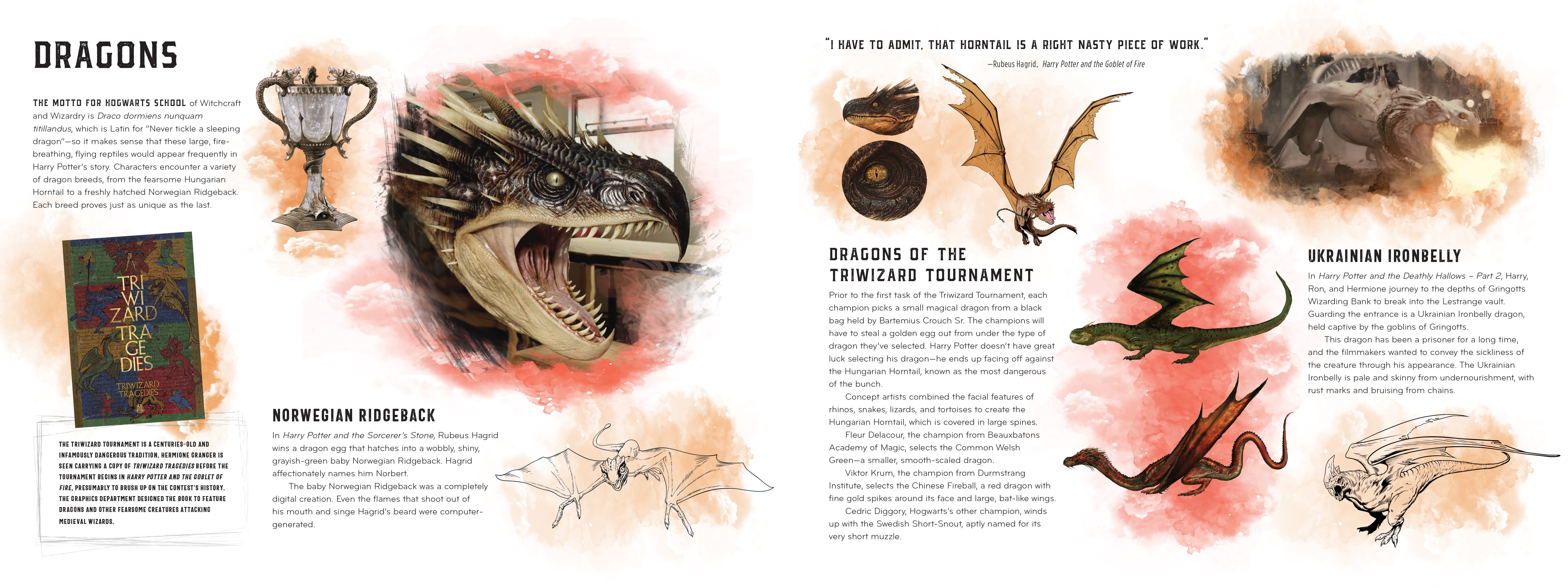 Harry Potter Creatures Book