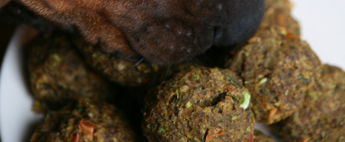 Dog-Friendly Meatball Recipe | PS Pets