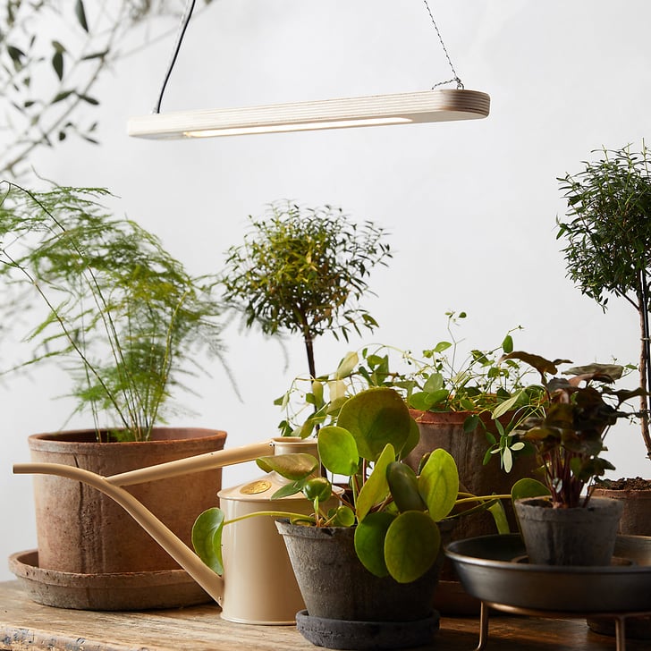 Grow Bar | Best Gardening Gifts 2019 | POPSUGAR Home UK Photo 46