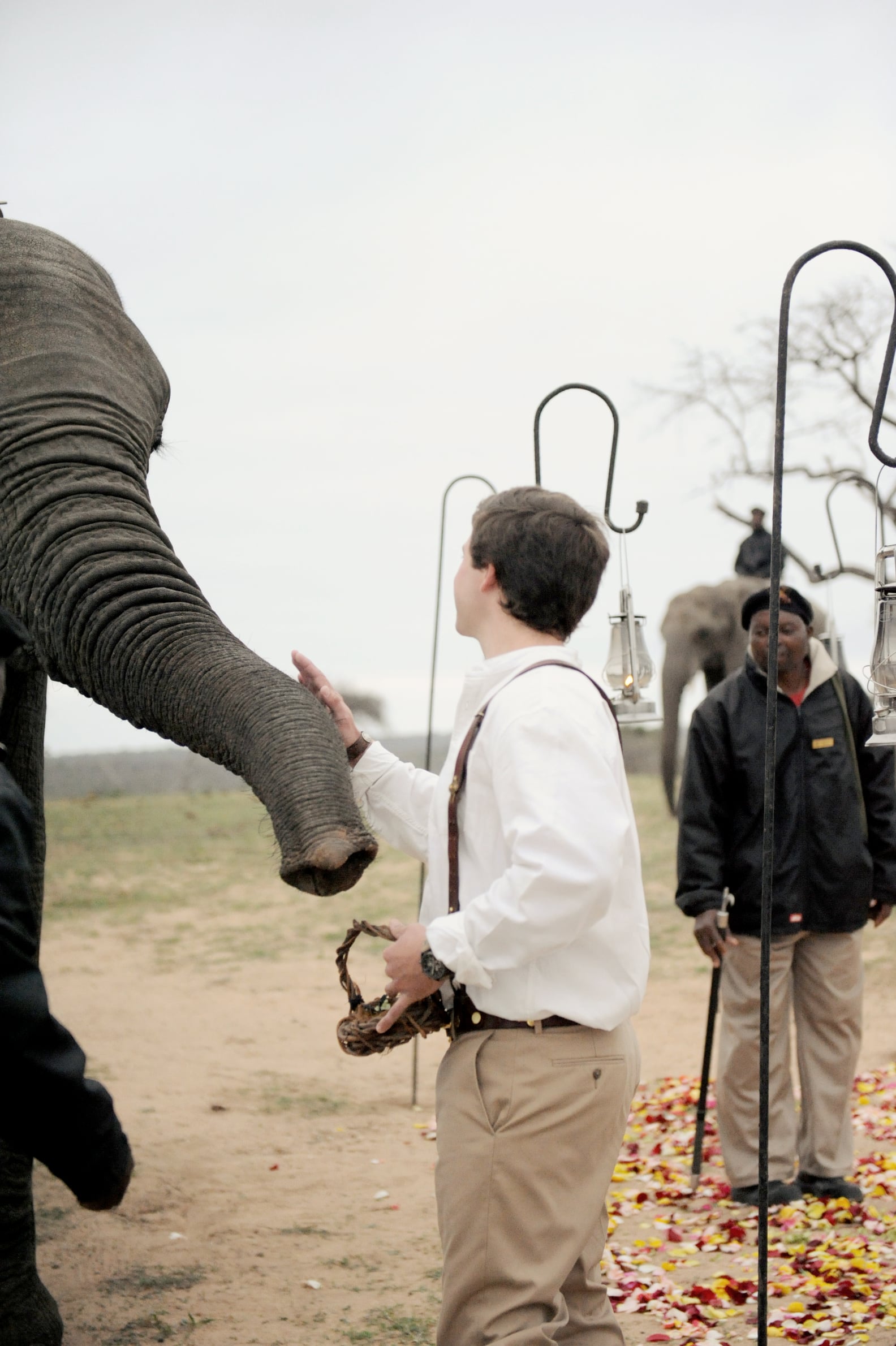 South African Safari Wedding With Elephants Popsugar Love