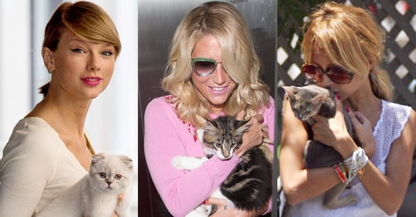 Celebrity Cat Ladies | Pictures | PS Celebrity