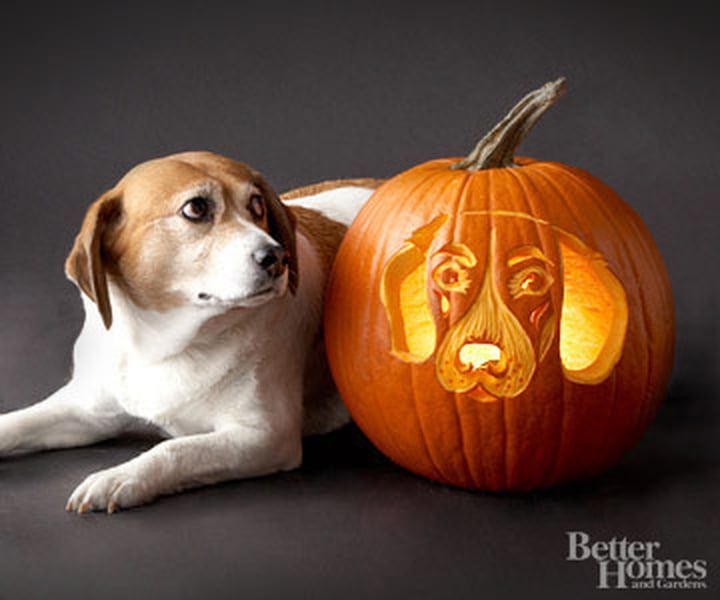 Downloadable Dog Breed Pumpkin Stencils | PS Pets
