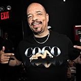 Facts About Ice-T and Coco Austin | POPSUGAR Celebrity