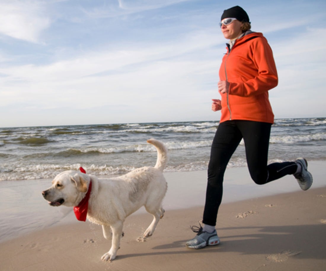 Dog Activities For Spring | POPSUGAR Pets