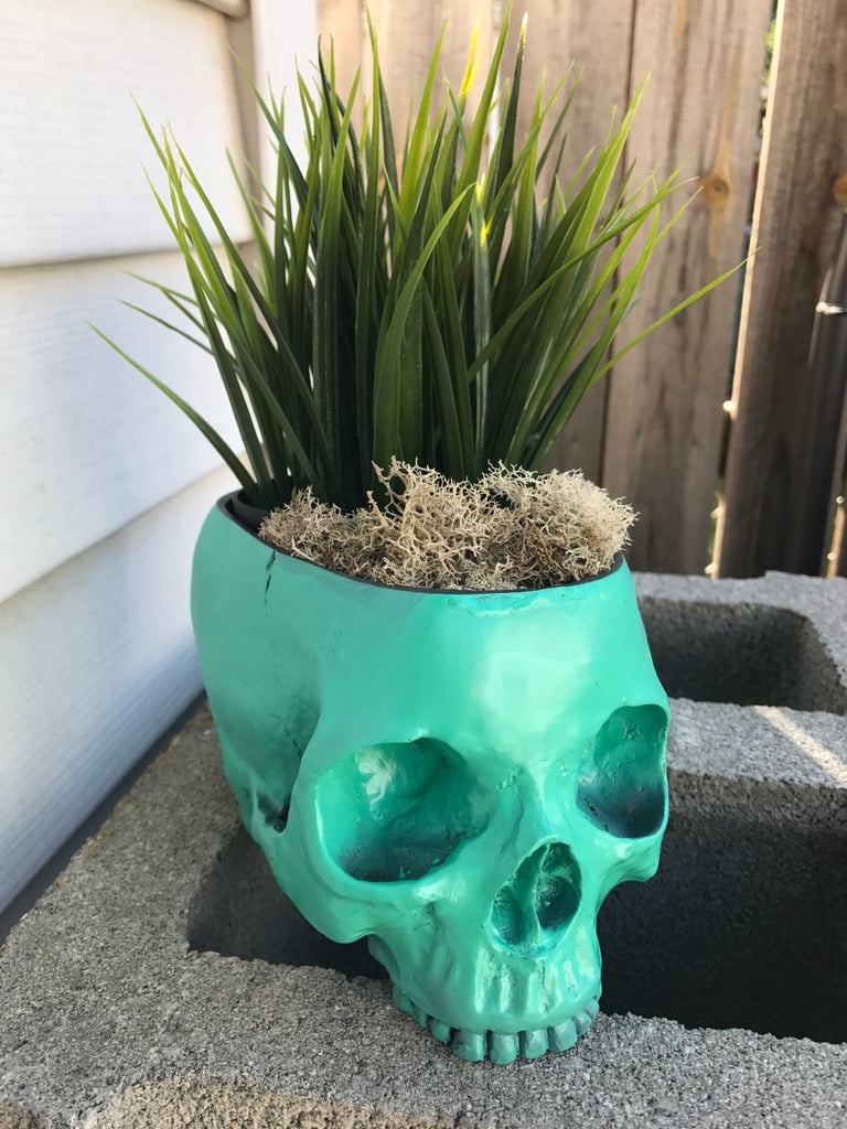 Skull Succulent Planters | POPSUGAR Home