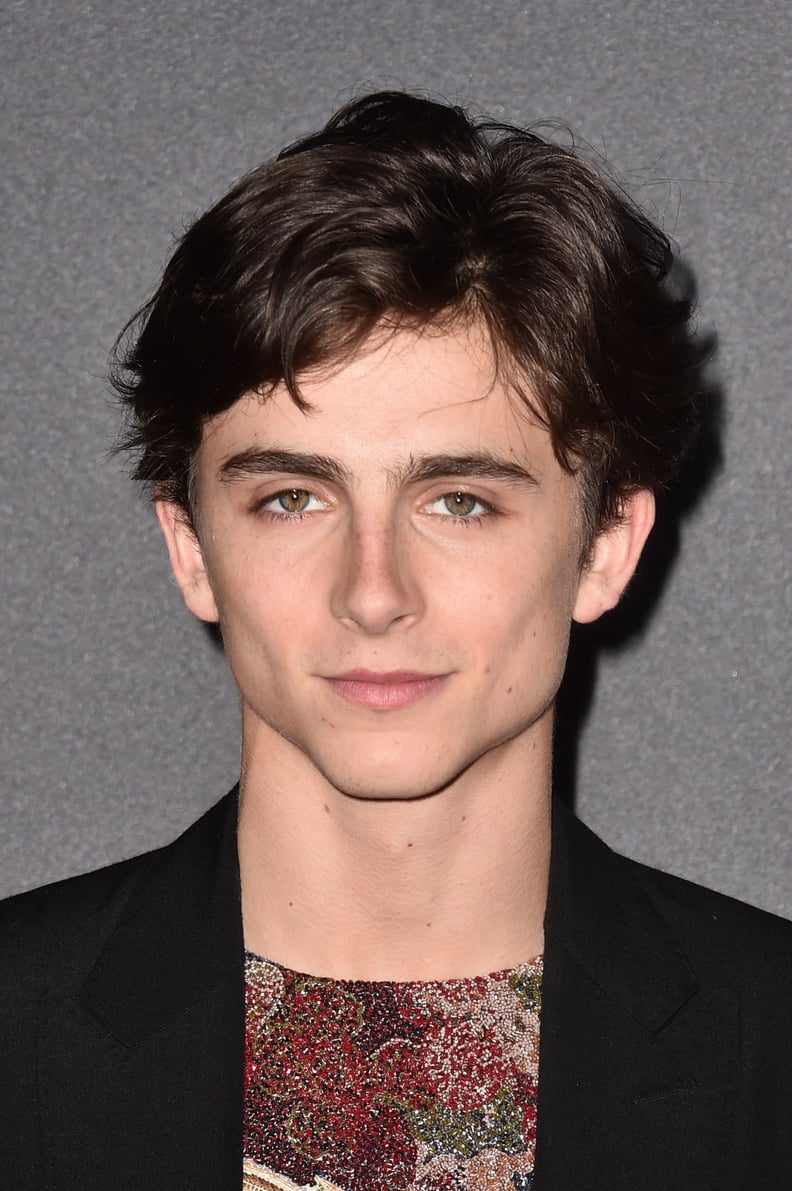 An Ode to Timothée Chalamet's Insanely Chiseled Jawline | PS Celebrity