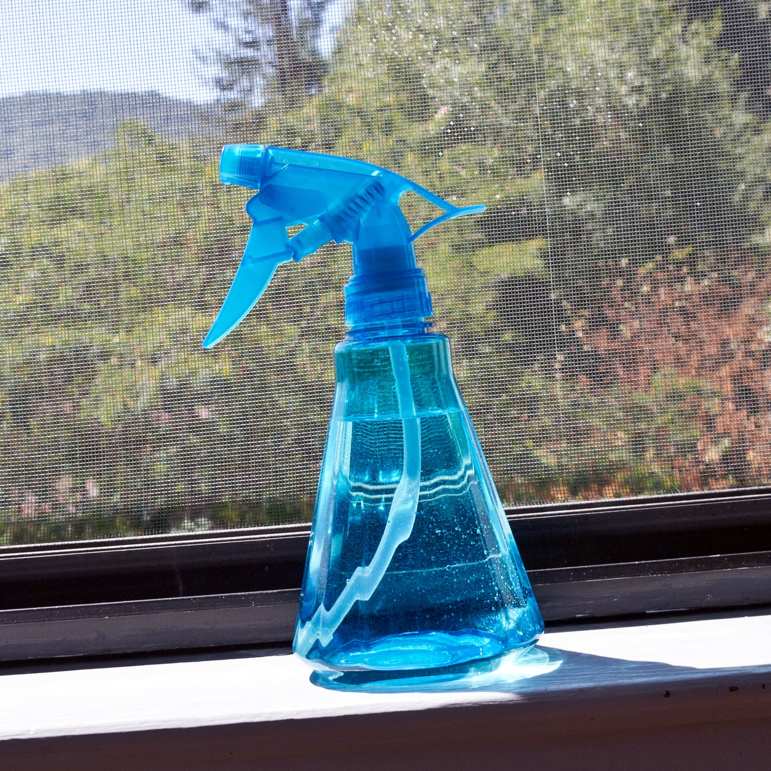 DIY Window Screen Cleaner | PS Smart Living