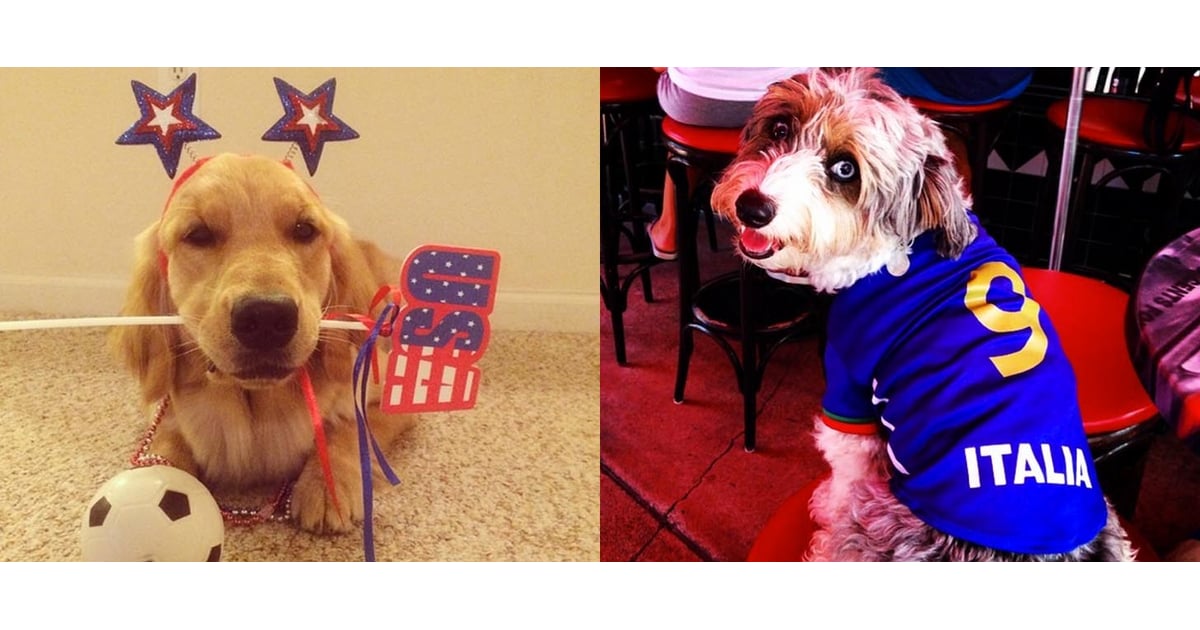 Instagram Dogs Represent World Cup | POPSUGAR Pets