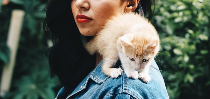 Do Cats Help With Human Anxiety? | POPSUGAR Smart Living