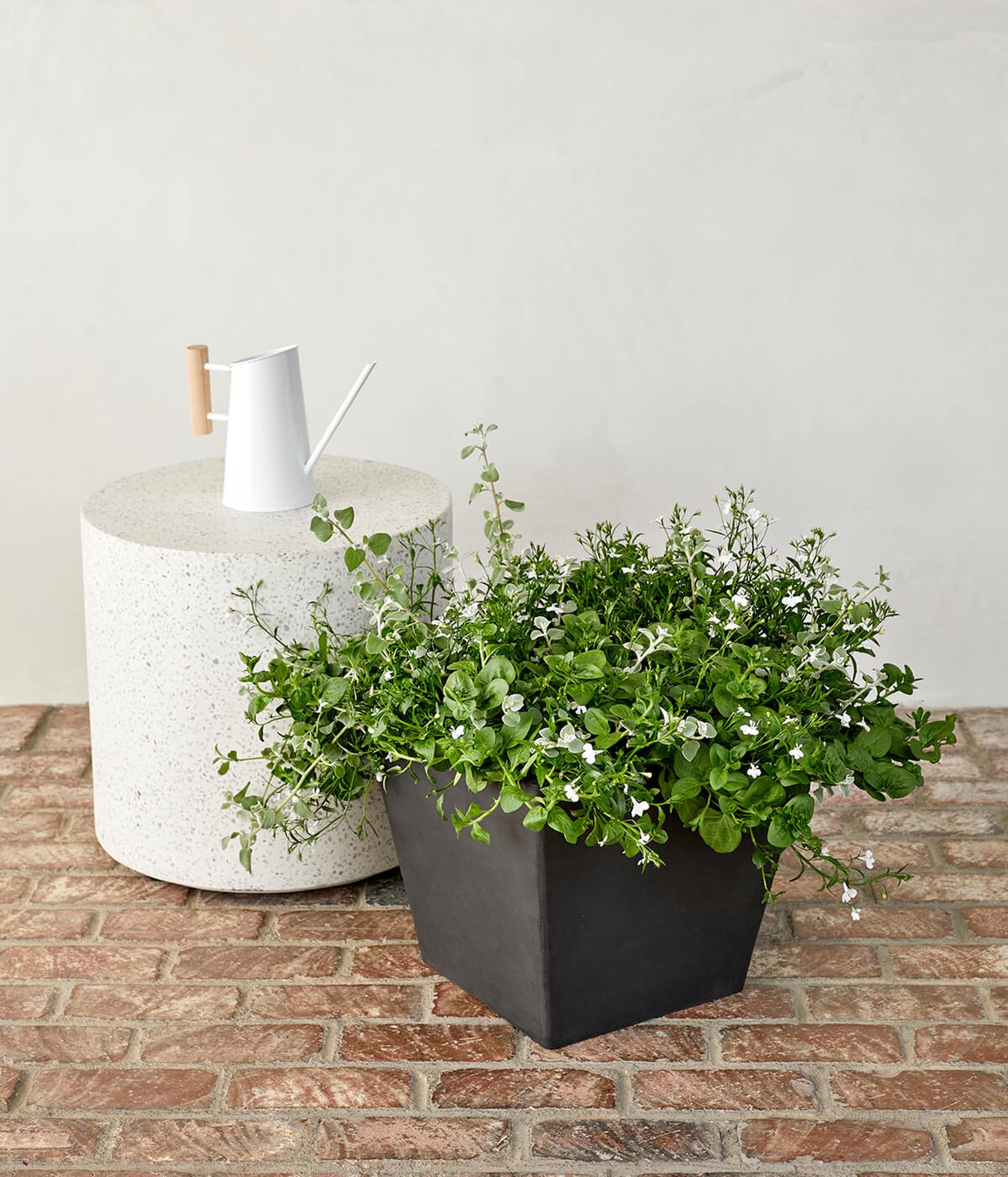 Bloomscape Outdoor Plant Launch | PS Home