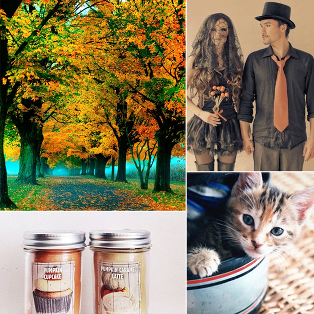 Fall Photography | PS Tech