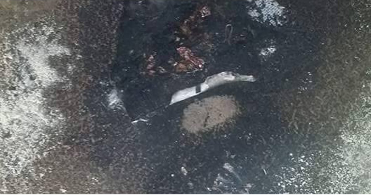 Hoverboard Catches on Fire While Charging and Explodes | POPSUGAR Family