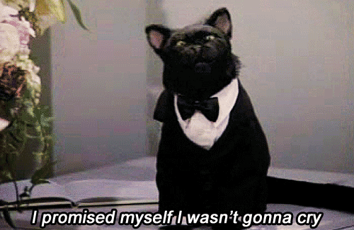 Sabrina, the Teenage Witch Salem GIFs | PS Entertainment