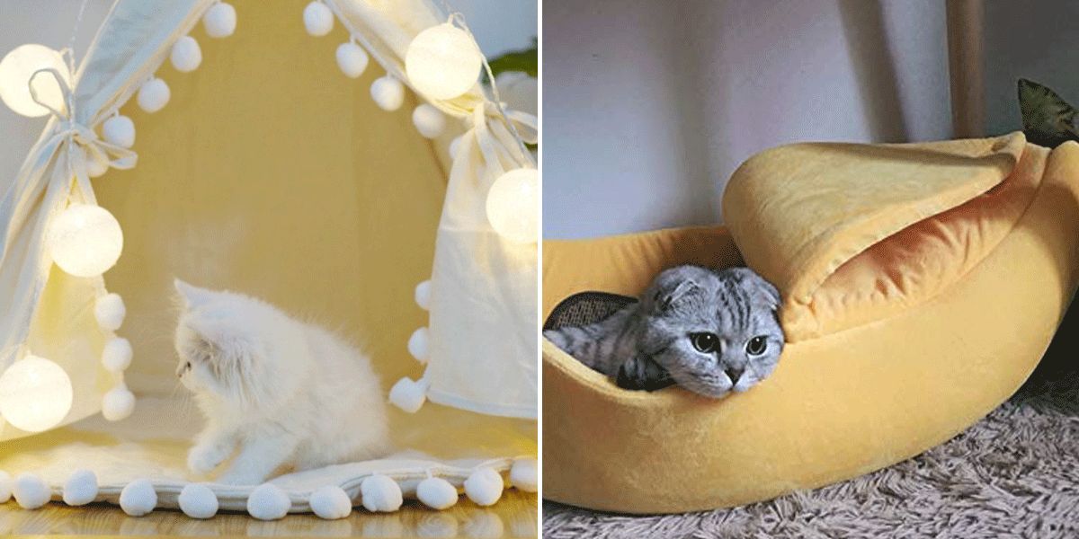 Fun Cat Products For Small Apartments | POPSUGAR Pets