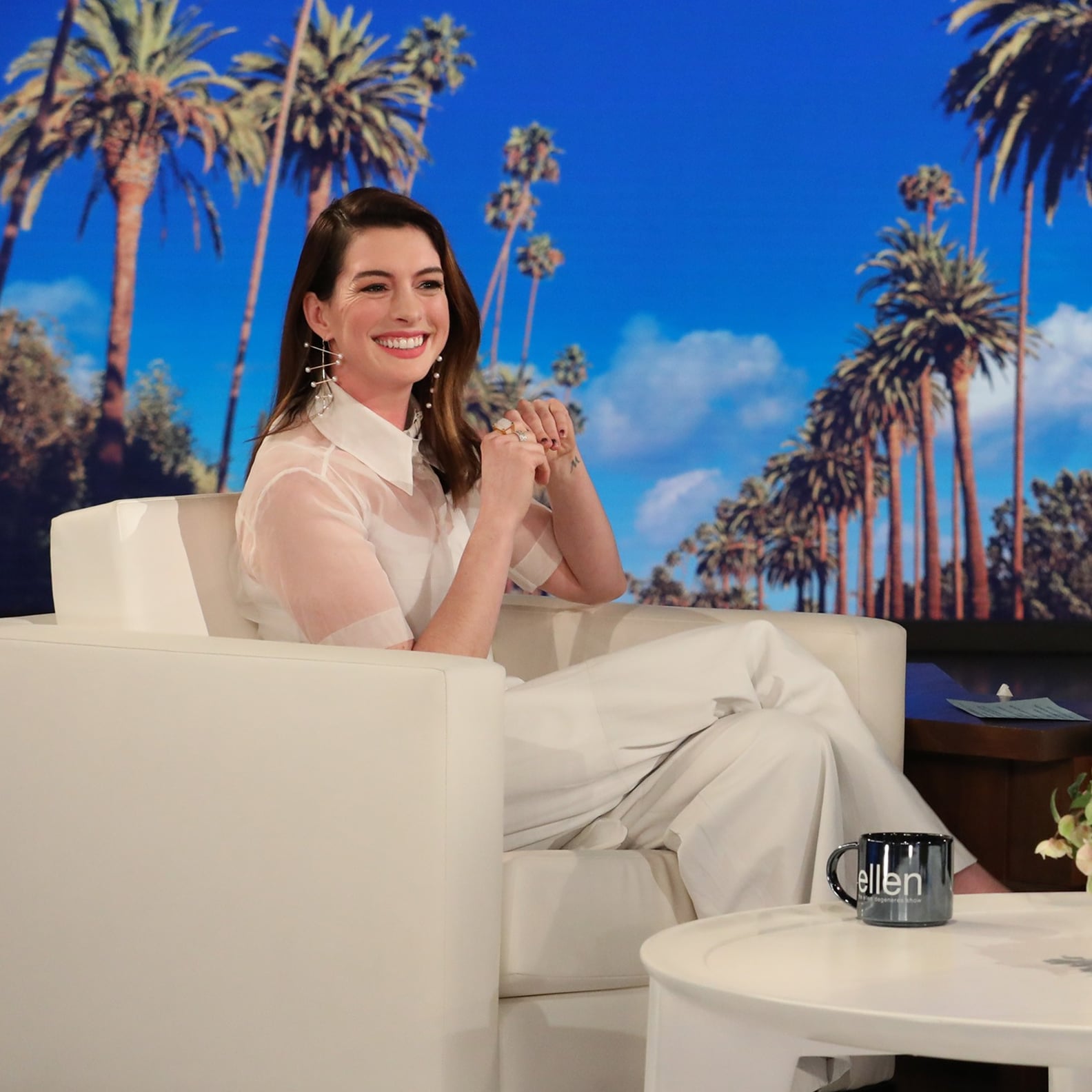 Anne Hathaway Talking About Drinking on Ellen Jan. 2019 | PS Family