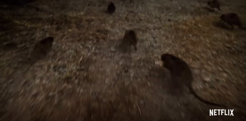 Stranger Things Season 3 Trailer Easter Eggs and Theories | PS ...