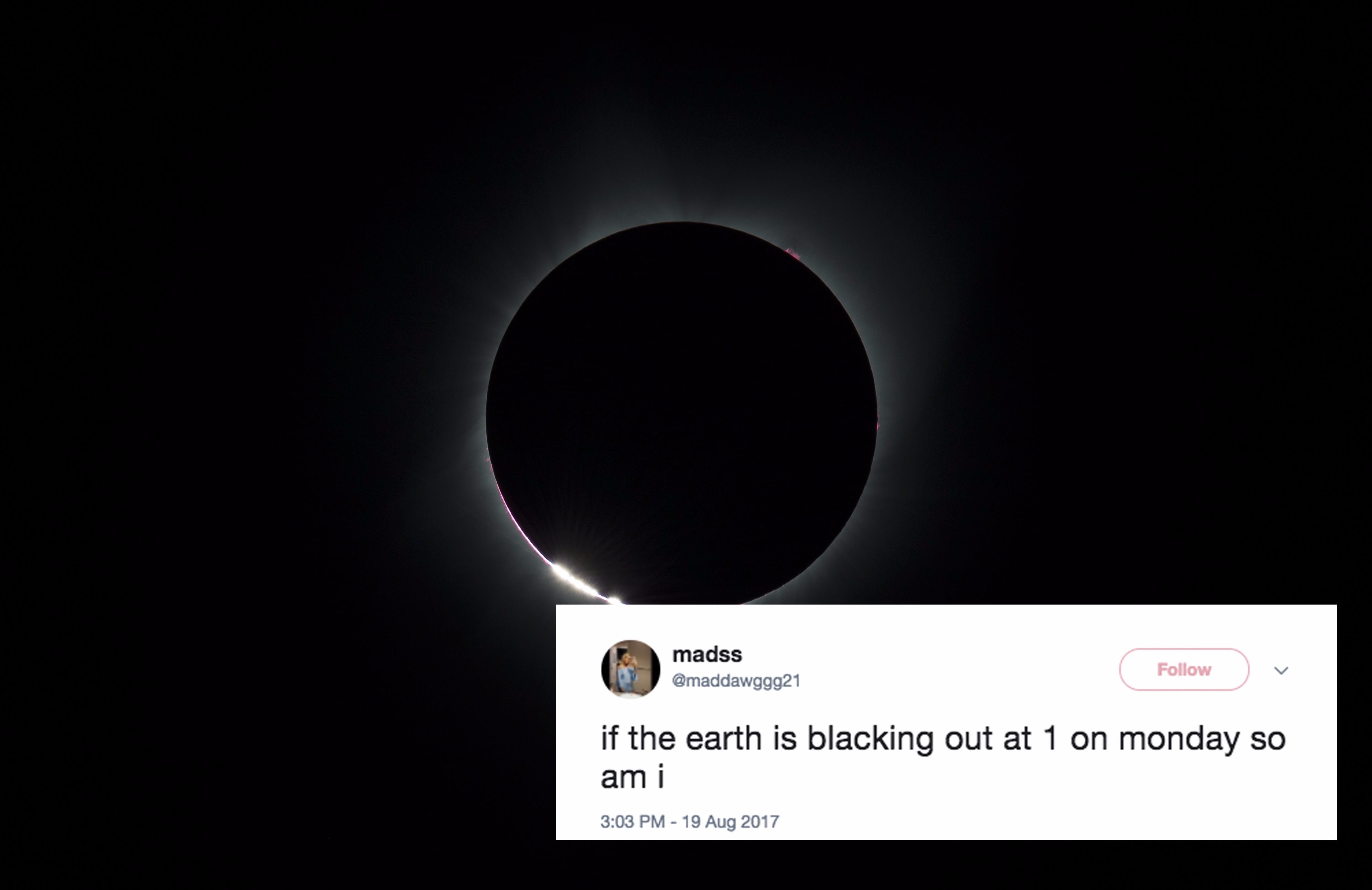 Twitter Reactions to Solar Eclipse | PS News