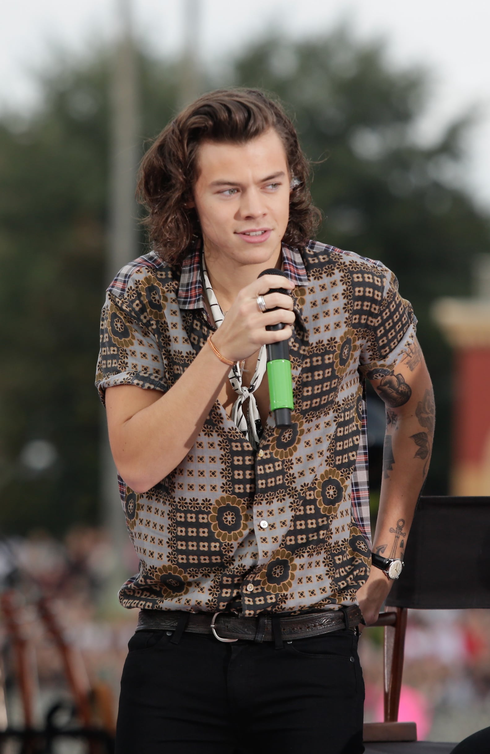 Harry Styles's Hair Evolution & Pictures | PS Beauty