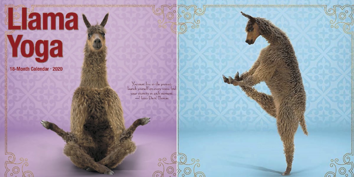 An Adorable Llama Yoga Calendar For 2020 | POPSUGAR Fitness
