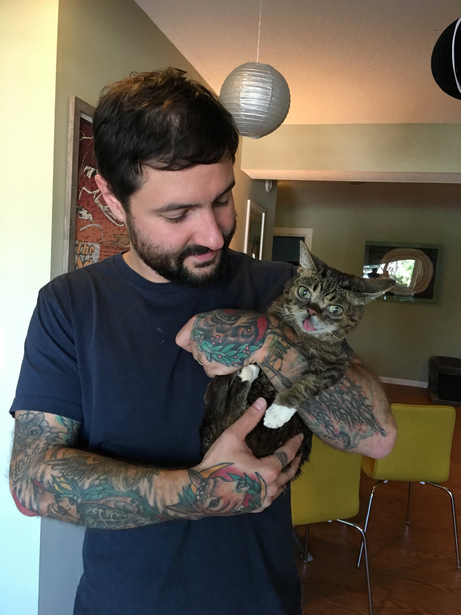 Facts About Lil Bub | PS Tech