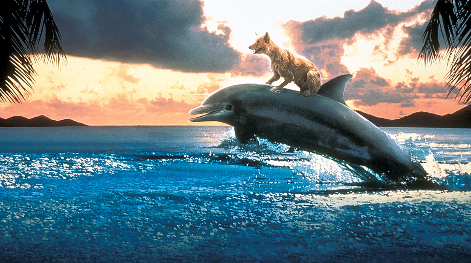 Family Movies For Kids on Paramount+ | POPSUGAR Family