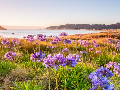 30+ Pretty Photos of Spring to Remind You That It's Coming! | POPSUGAR ...