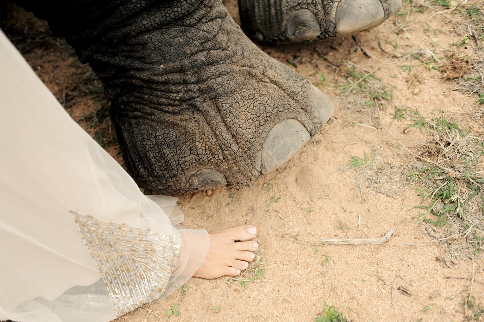 South African Safari Wedding With Elephants Popsugar Love And Sex