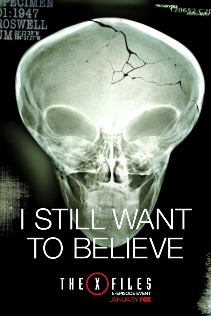 The X-Files Revival Posters | POPSUGAR Entertainment