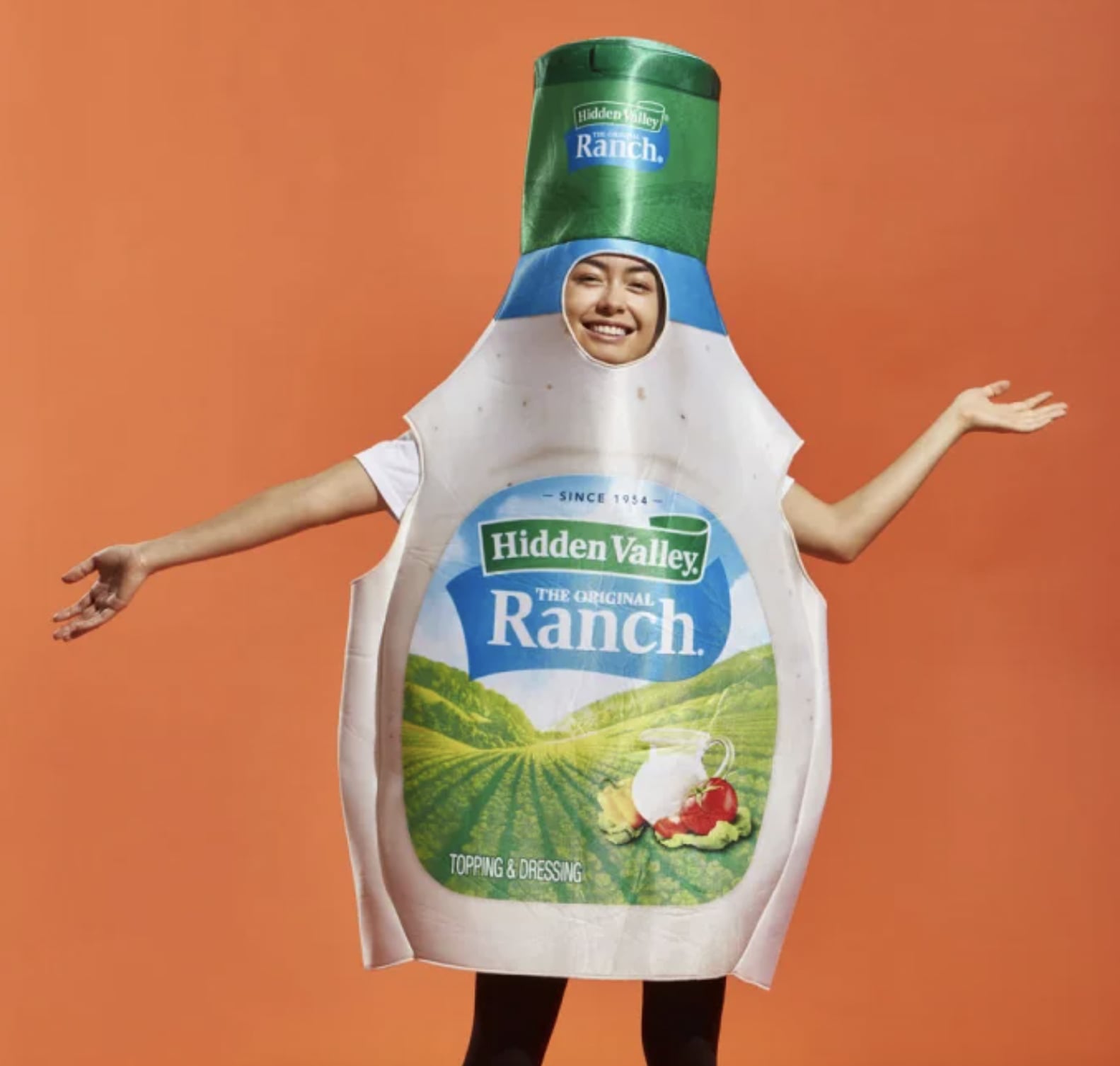 A Hidden Valley Ranch Halloween Costume Has Arrived | POPSUGAR Smart Living
