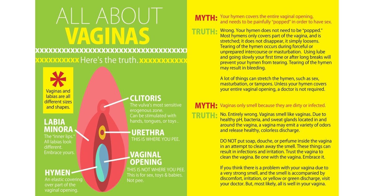 Vaginas Sex Ed Infographic Popsugar Love And Sex Photo 1