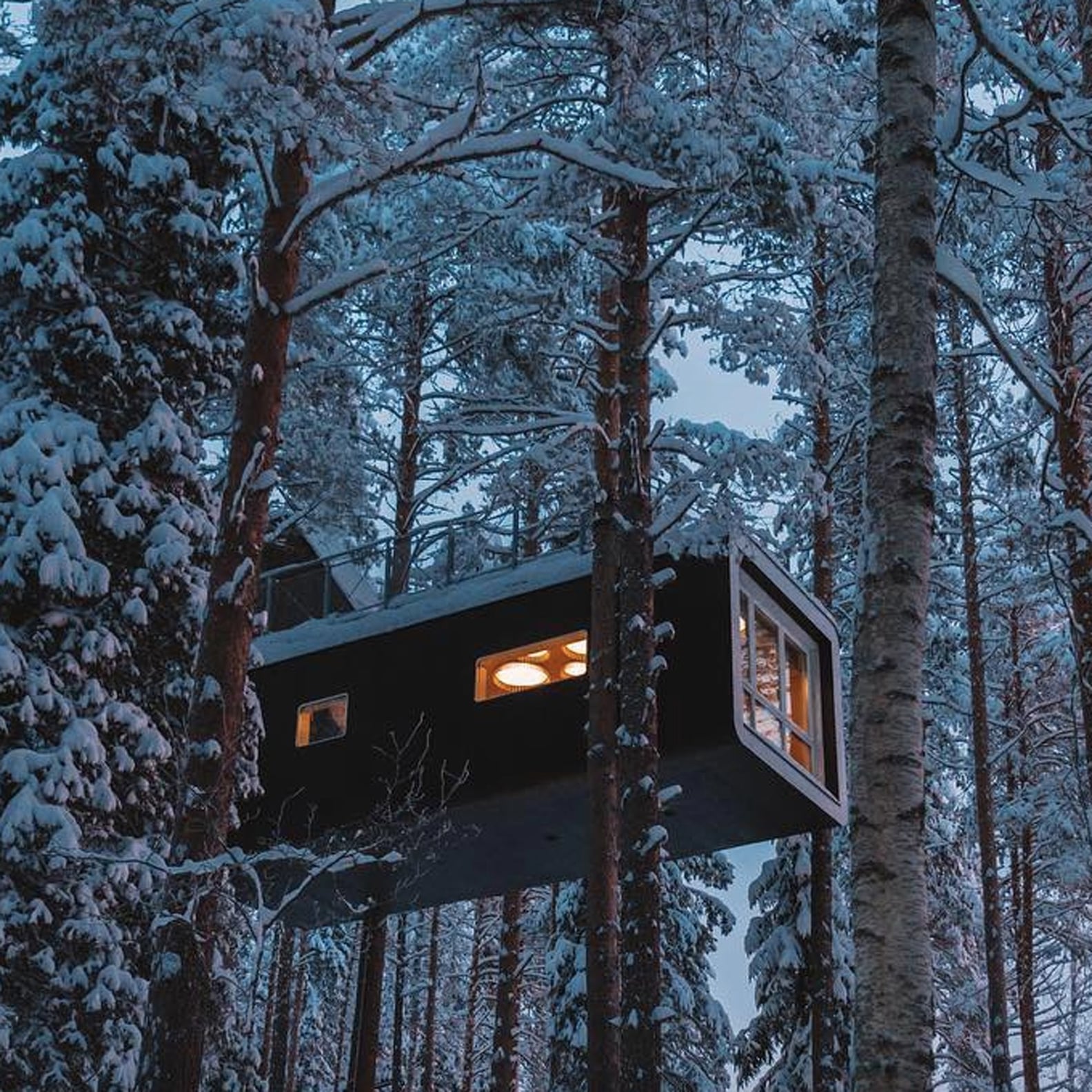 Treehotel in Sweden Photos | PS UK Smart Living