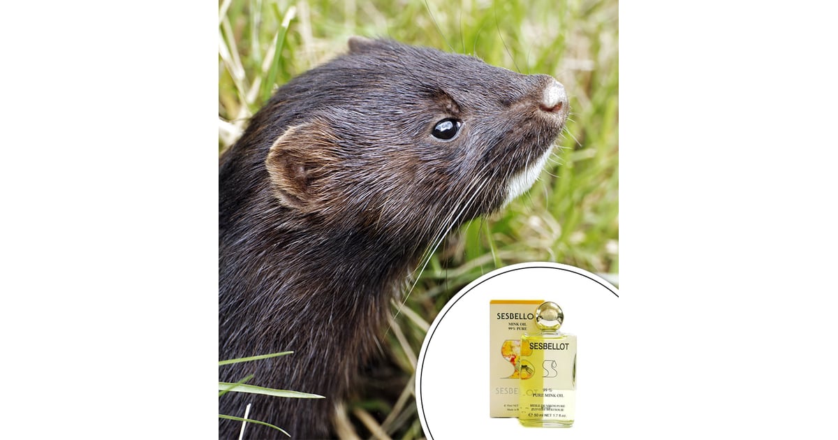 Mink Oil | Weird Beauty Ingredients | POPSUGAR Beauty Photo 10
