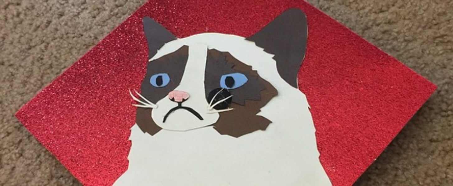 Grumpy Cat Graduation