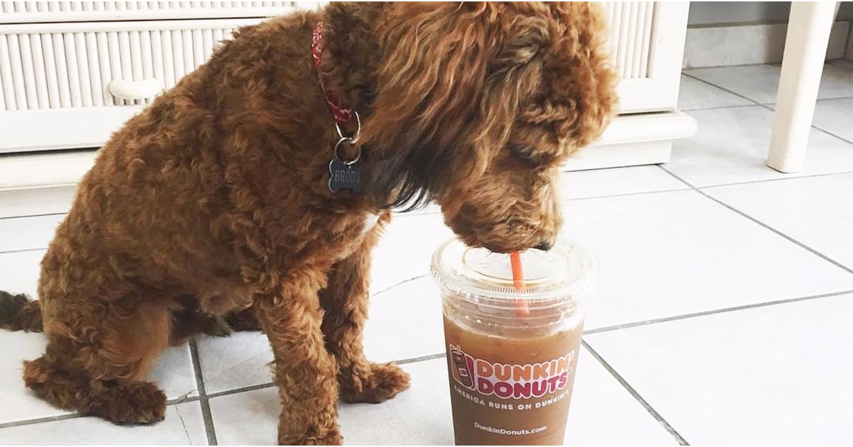 Is the Dunkin' Donuts Maple Pecan Flavor Good? | POPSUGAR Food
