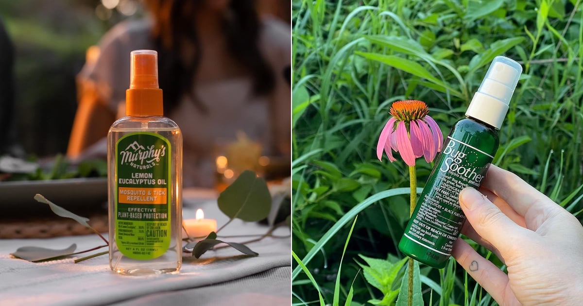 10 Best Bug Sprays | PS Fitness