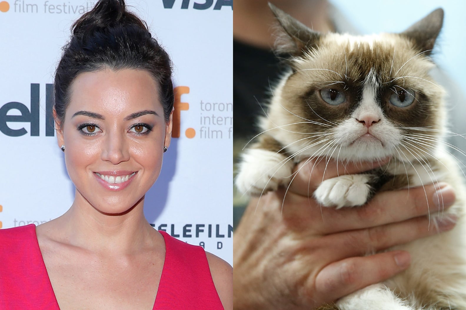 Aubrey Plaza Will Voice Grumpy Cat in Lifetime Movie | PS Entertainment