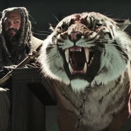 Are Daryl and Carol on The Walking Dead a Couple? | POPSUGAR Entertainment