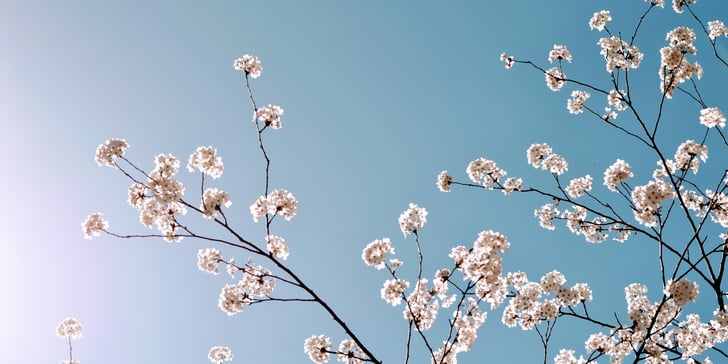 Free Spring Desktop Wallpapers | POPSUGAR Tech
