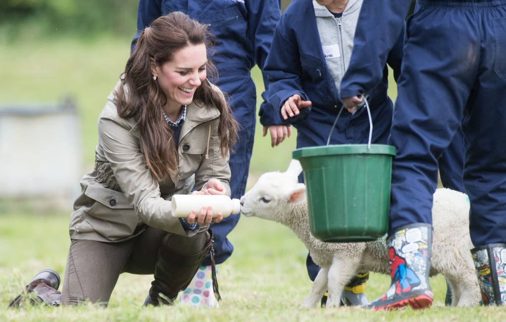 Funny Kate Middleton Pictures 2017 | POPSUGAR Celebrity