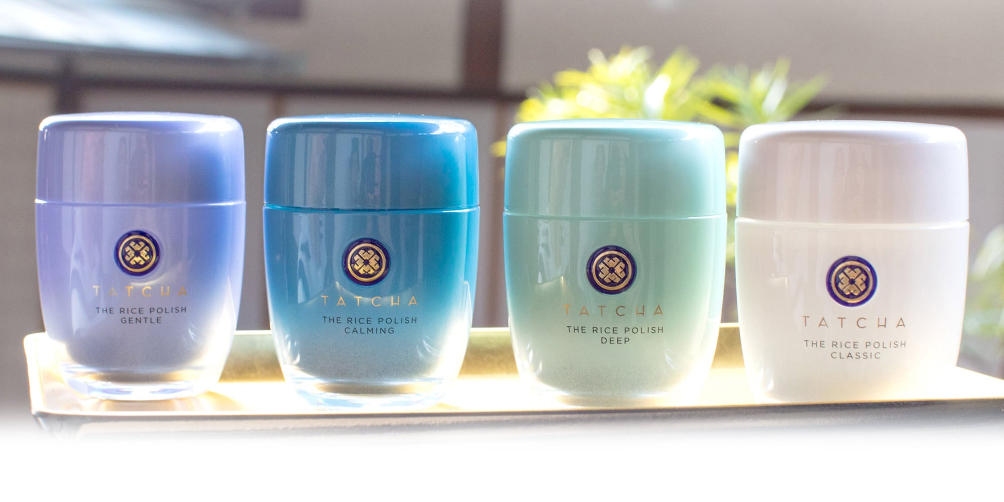 Best Tatcha Products at Sephora | PS Beauty