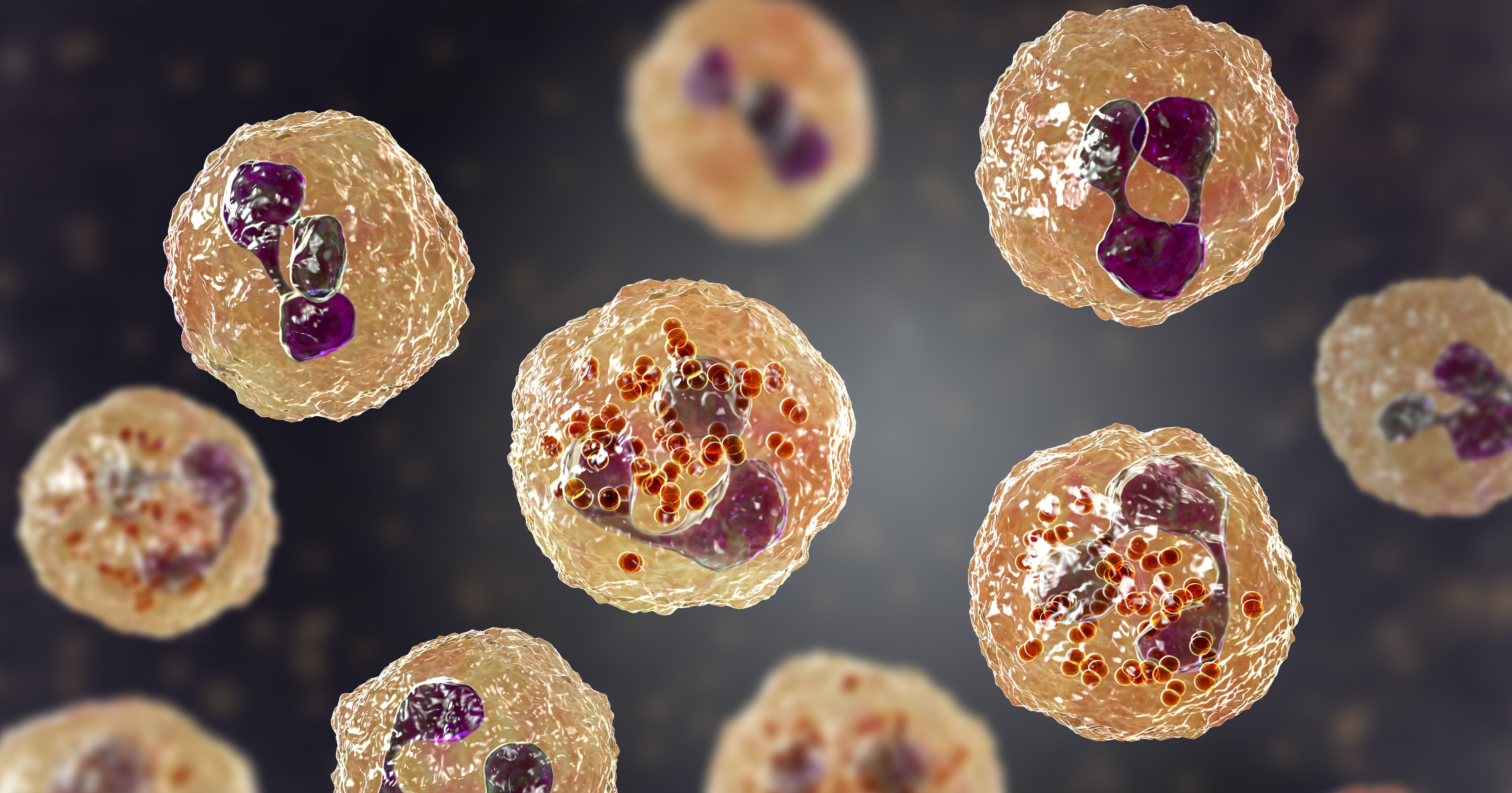 Meningococcal Disease Outbreak in Florida: What to Know | POPSUGAR Fitness