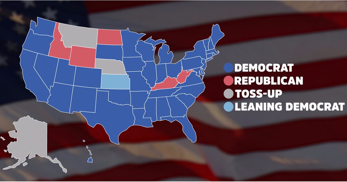 How Millennials Voted in 2016 Election (Video) | POPSUGAR News